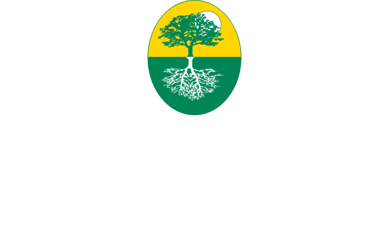 mba-master-of-business-administration - Regenesys